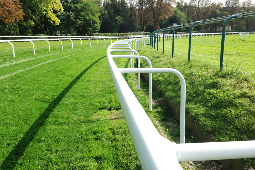 Gazon sportif - SOTREN