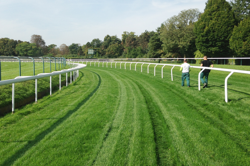 Gazon sportif - SOTREN