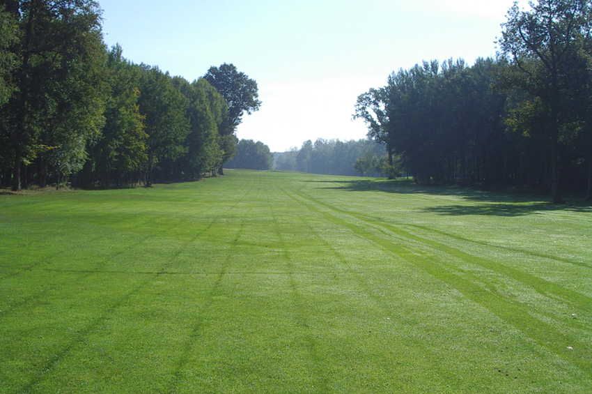 Gazon sportif - SOTREN